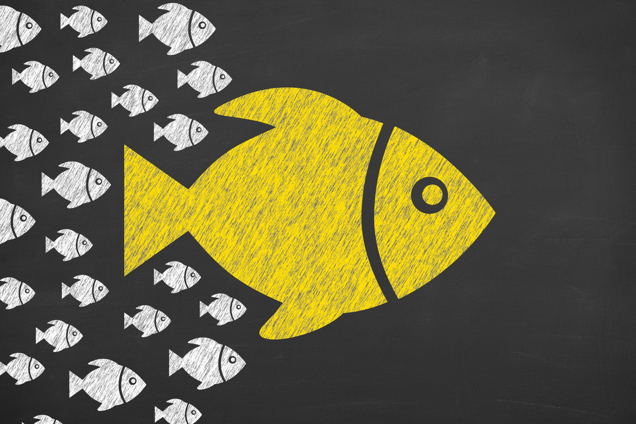 Agency Blind Spot: Audience Data - Metric Centric