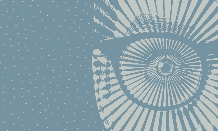 Face Your Fears - Metric Centric